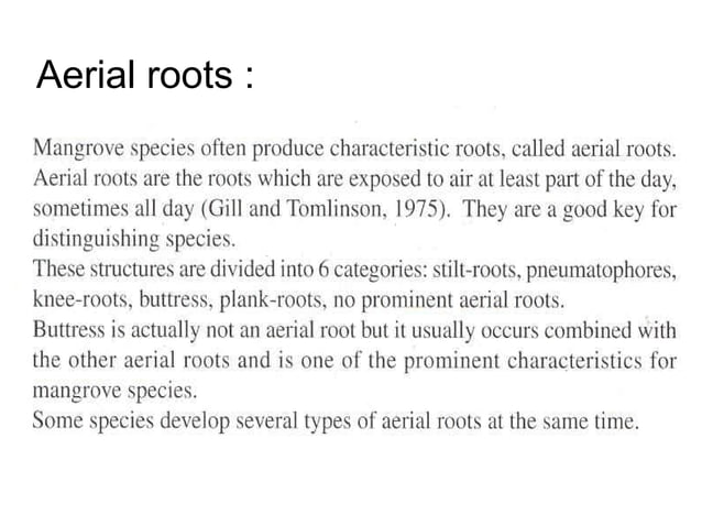 Mangrove field guide | PPT