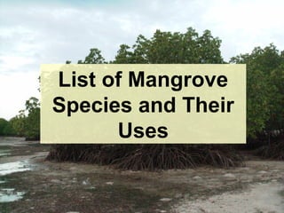 Mangrove field guide | PPT