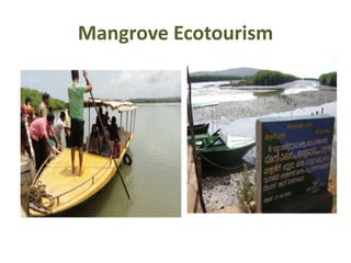 Mangrove flora of karnataka | PPSX