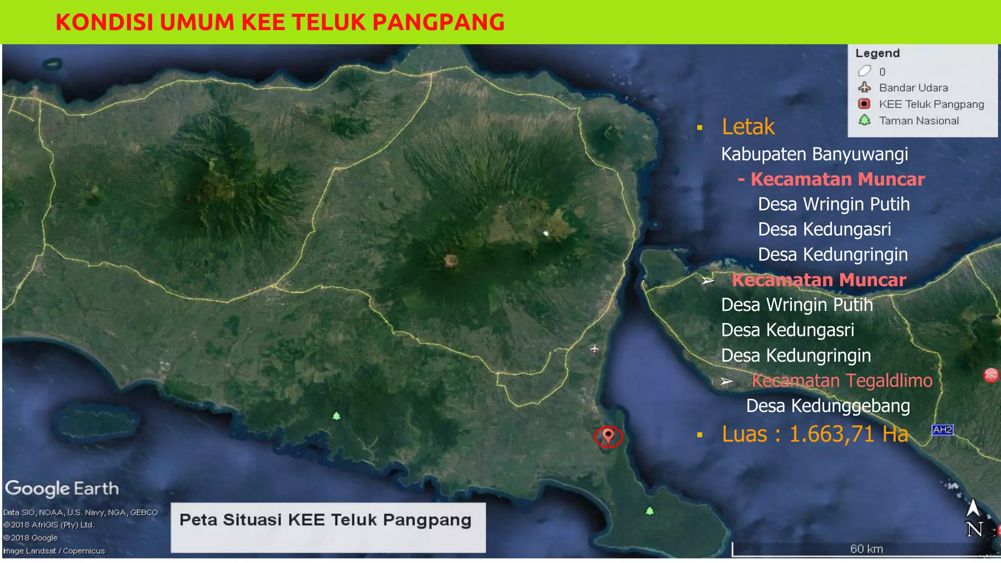 Mangrove management as an essential ecosystem area: A case study from Teluk Pangpang (Pangpang ...