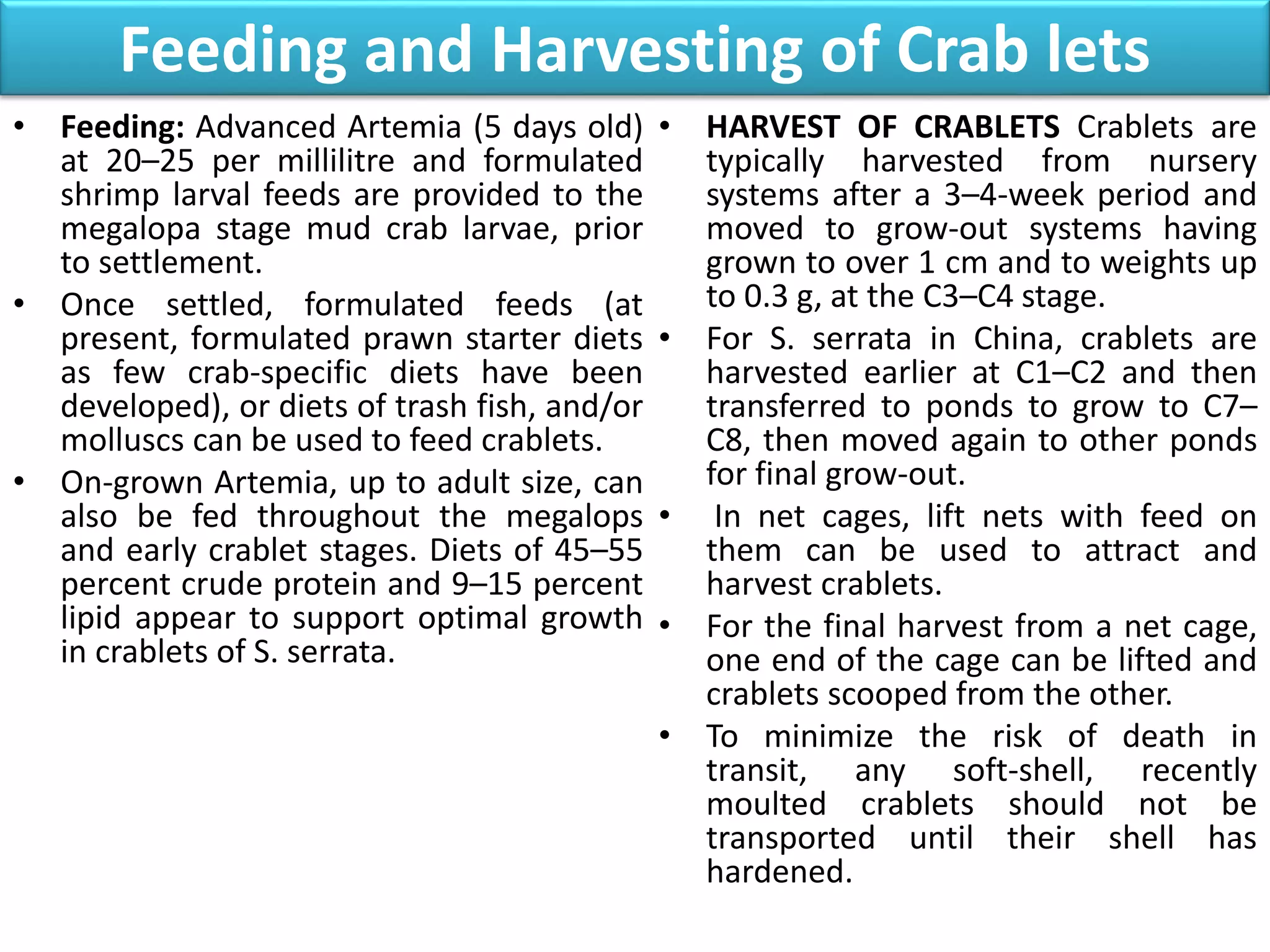 Mangrove Mud Crab Farming | PPTX