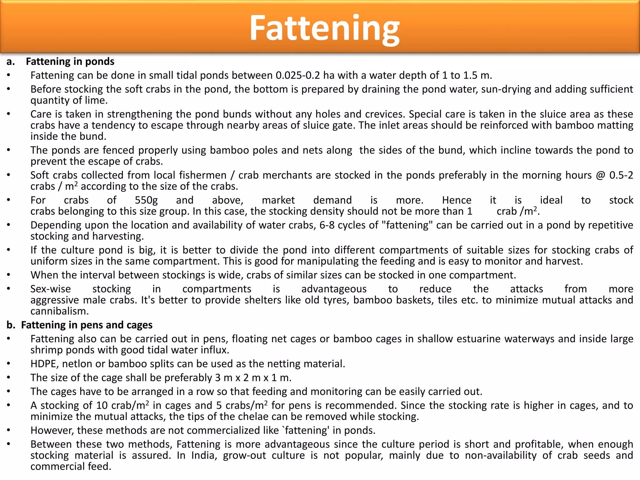 Mangrove Mud Crab Farming | PPTX