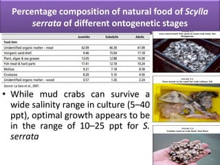 Mangrove Mud Crab Farming | PPTX