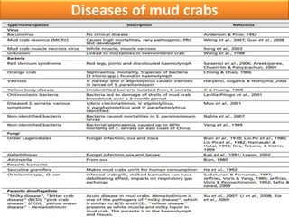 Mangrove Mud Crab Farming | PPTX