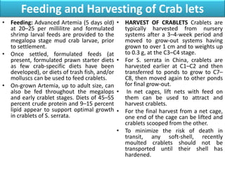 Mangrove Mud Crab Farming | PPTX