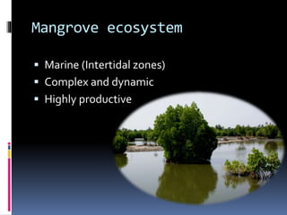 Mangrove ppt slides | PPT