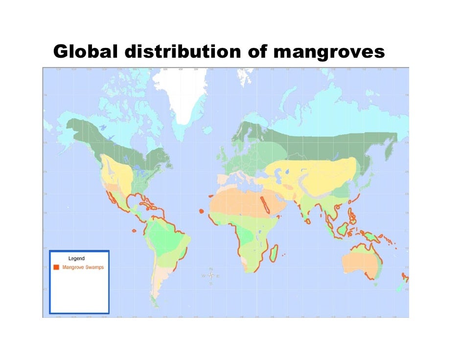 Mangroves