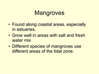 Mangroves | PPT