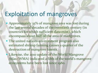 Mangroves | PPTX