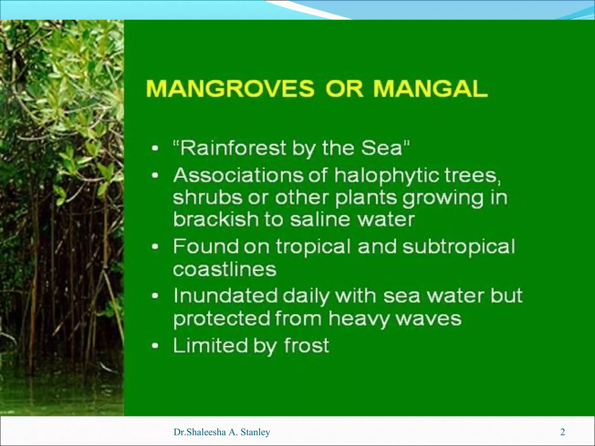 Mangroves | PPT