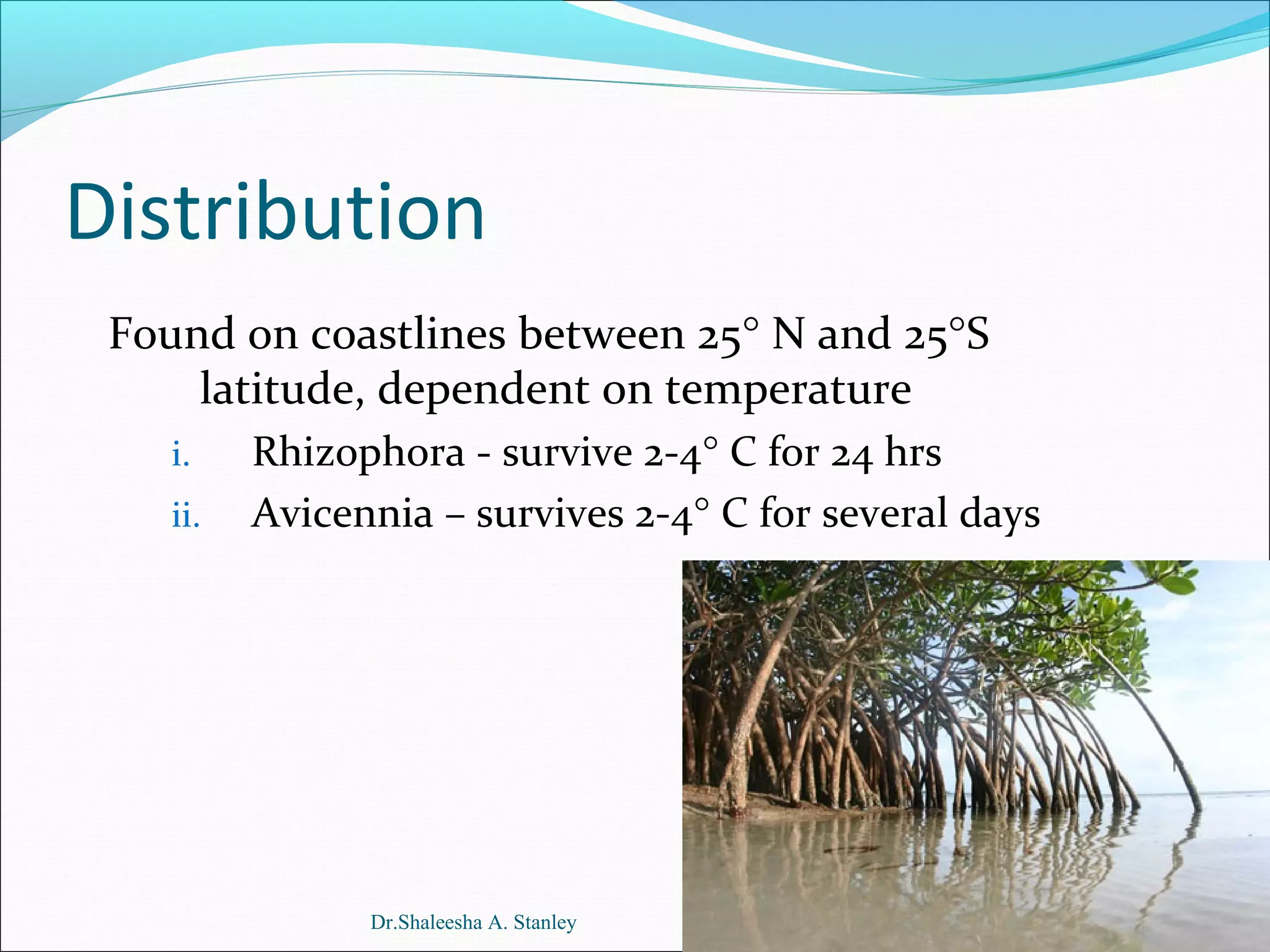 Mangroves | PPT