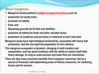 Mangroves | PPT