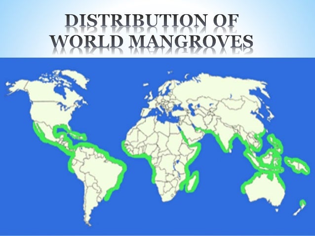 Mangroves