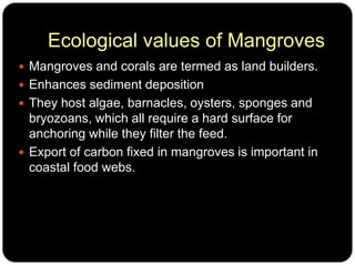 Mangroves - A paradise of biodiversity | PPTX