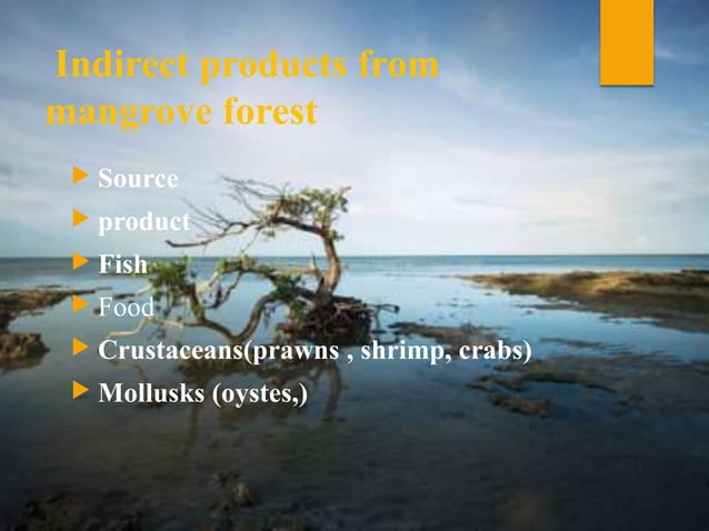Mangroves | PPT
