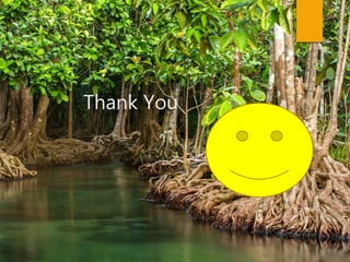 Mangroves | PPTX