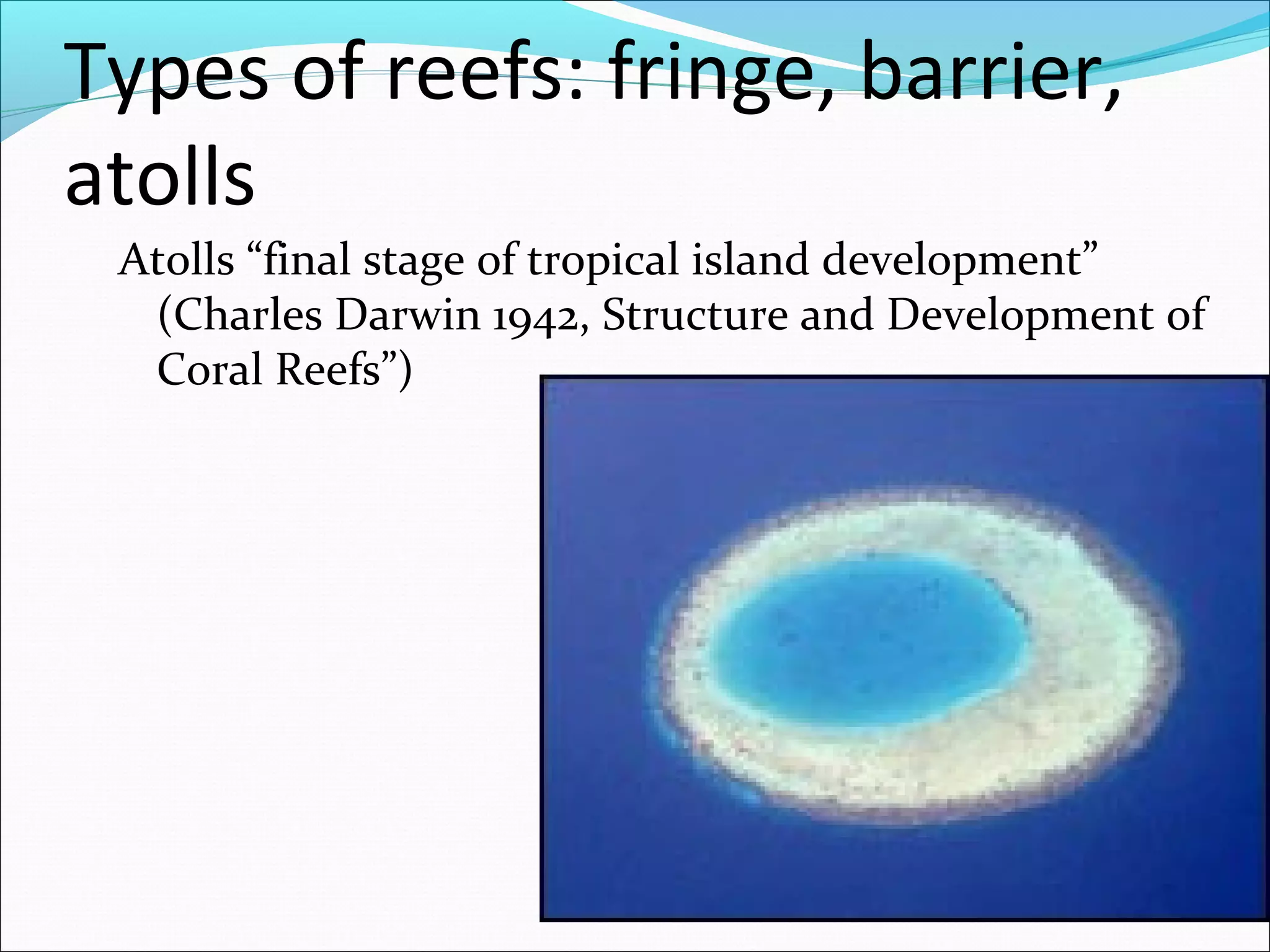 Mangroves and coral reefs | PPT