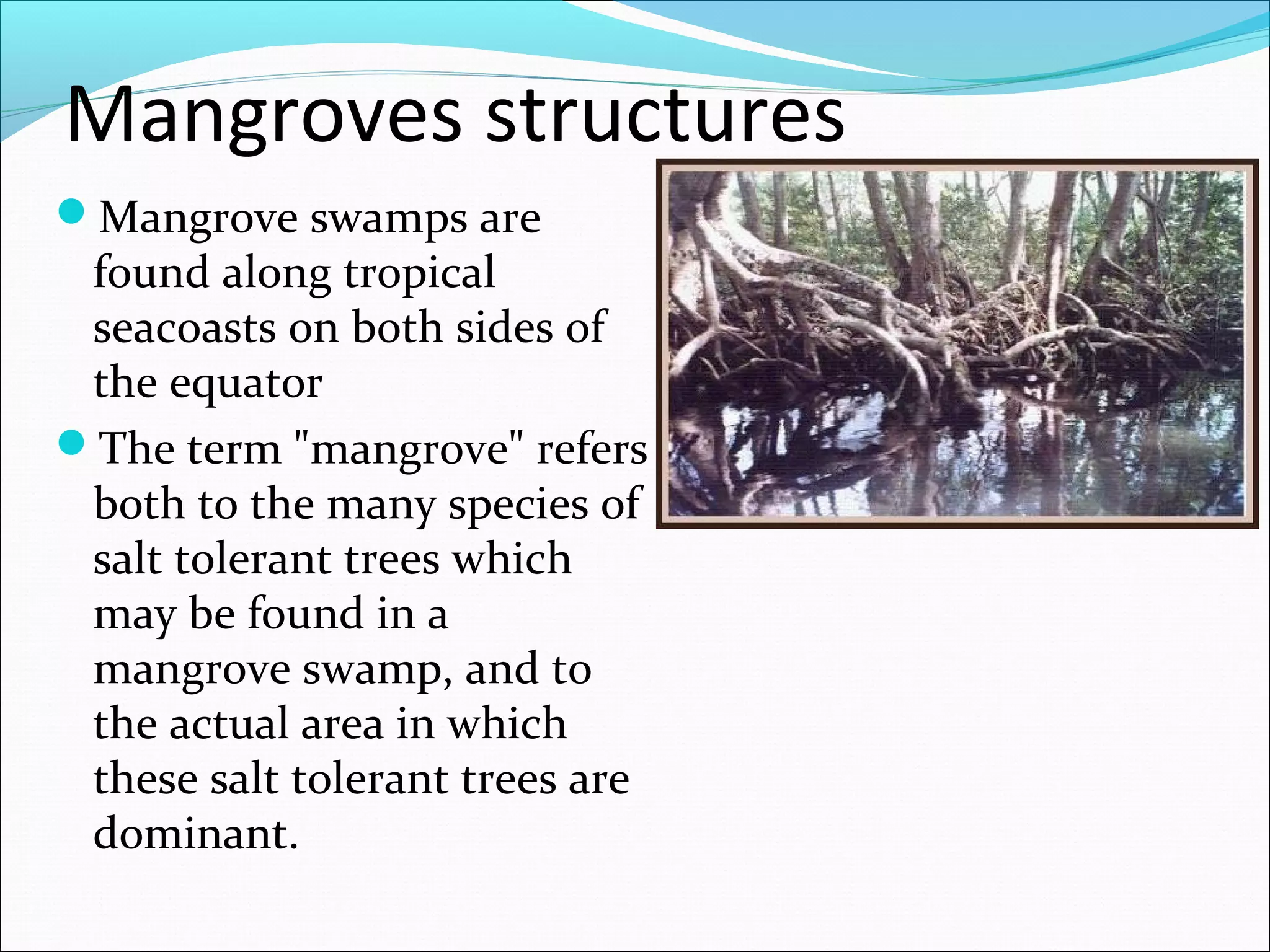 Mangroves and coral reefs | PPT