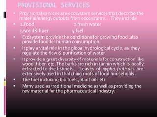 Mangroves of india | PPTX