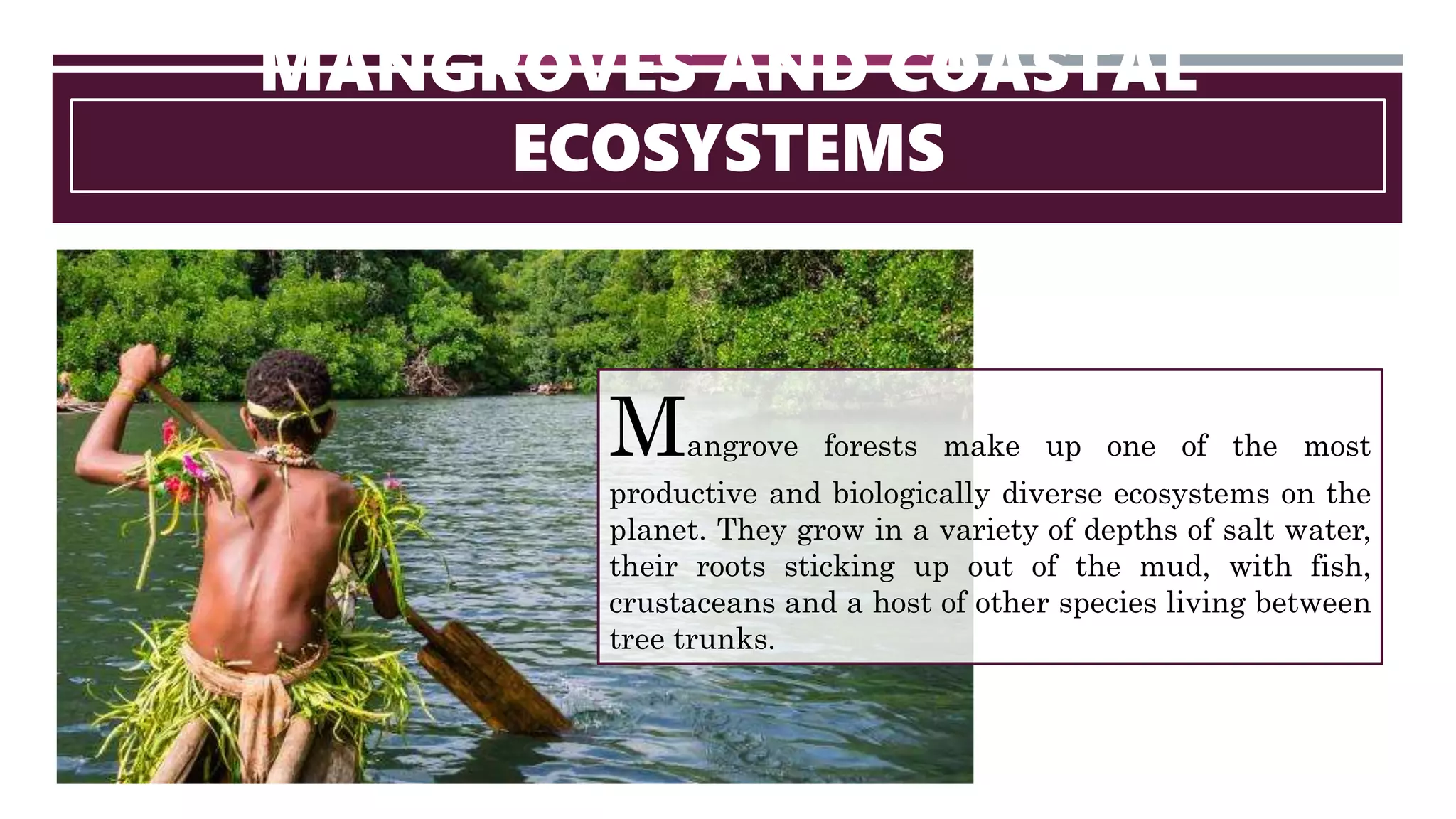 Mangroves and their importance with Threats iucn ppt | PPTX