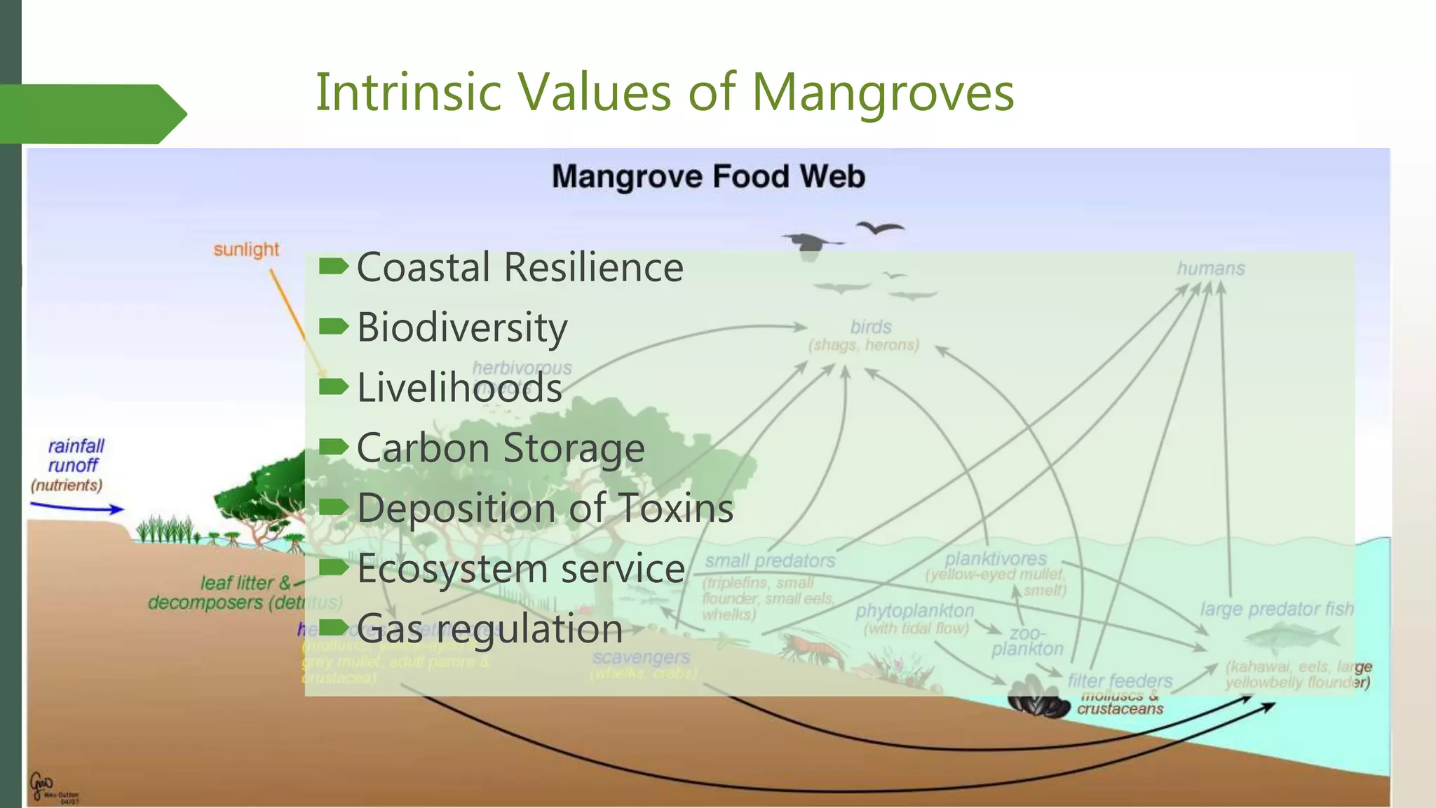 Mangroves_Key_Characteristics_and_Enviro.pptx