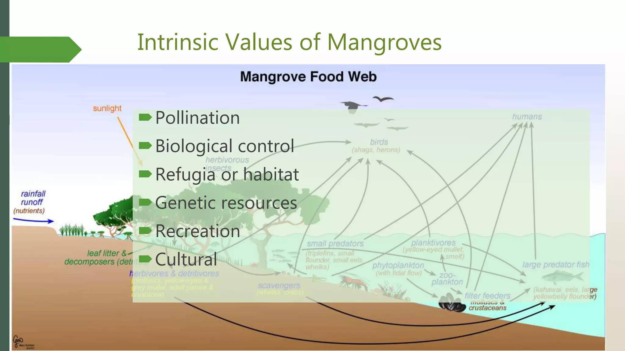Mangroves_Key_Characteristics_and_Enviro.pptx