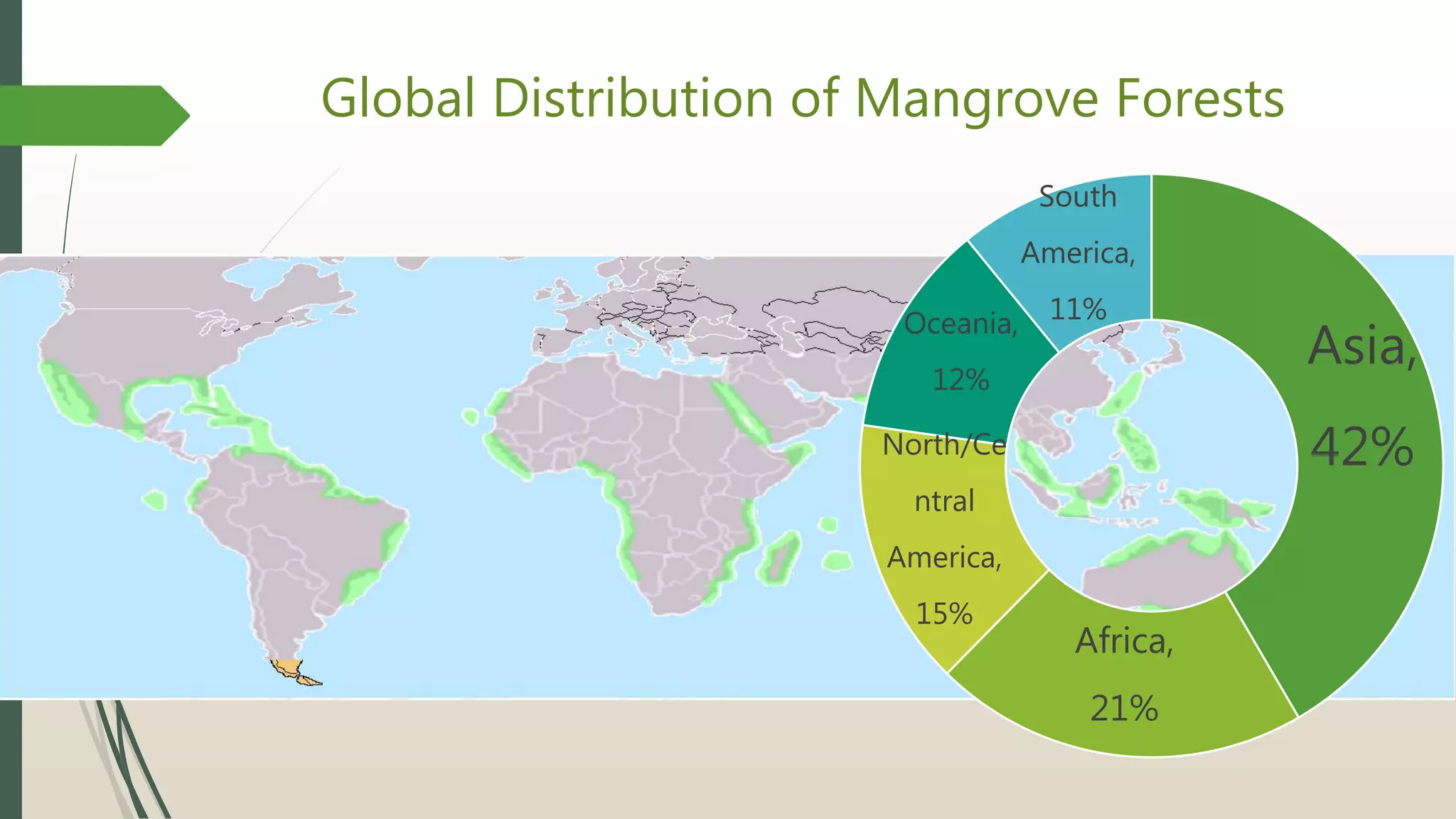 Mangroves_Key_Characteristics_and_Enviro.pptx