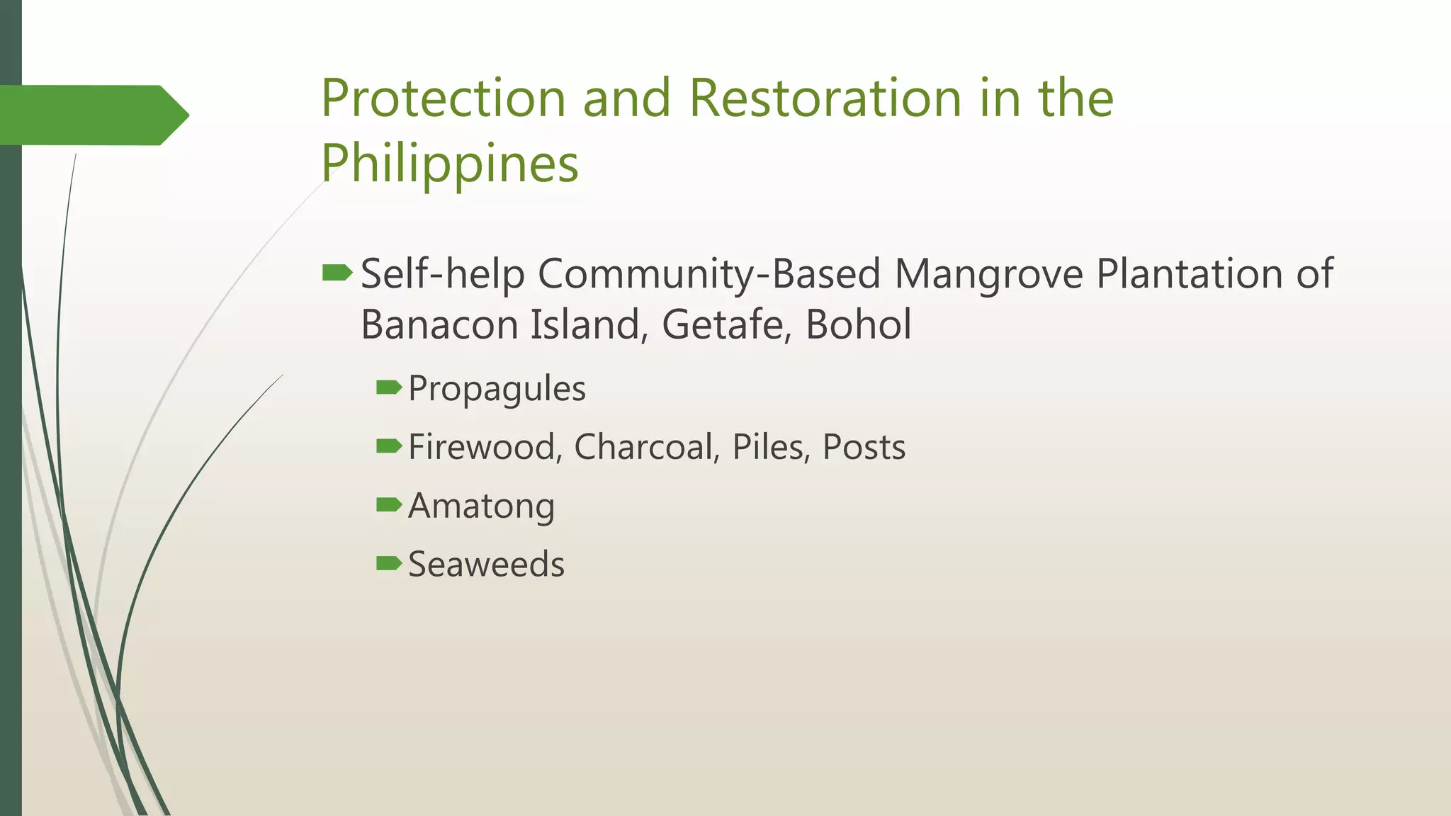 Mangroves_Key_Characteristics_and_Enviro.pptx