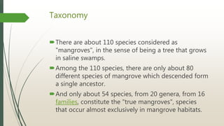 Mangroves_Key_Characteristics_and_Enviro.pptx