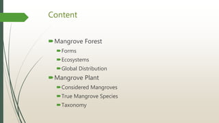 Mangroves_Key_Characteristics_and_Enviro.pptx
