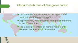 Mangroves_Key_Characteristics_and_Enviro.pptx