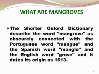 Mangroves of dahanu | PPT