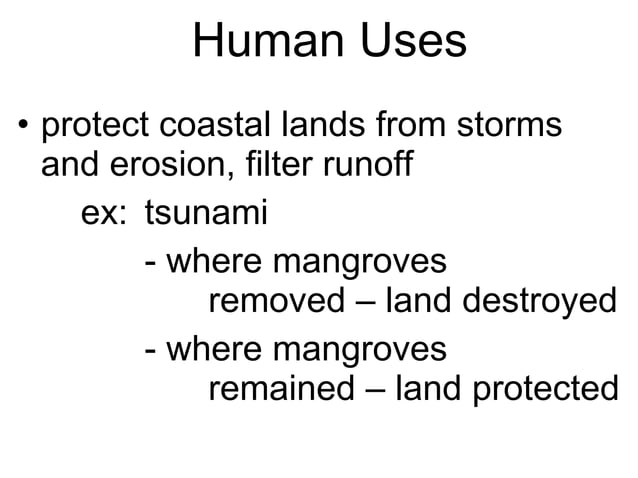 Mangroves power point | PPT | Geography | Science