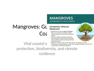 Mangroves_Presentationhigb_Complete.pptx