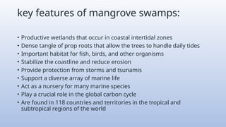 COASTAL GEOGRAPHY - MANGROVE SWAMPS.pptx