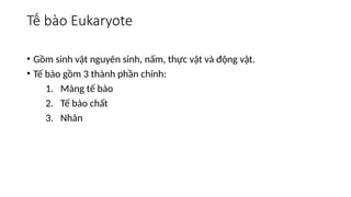 Mang te bao, te bao chat va cac bao quan | PPTX