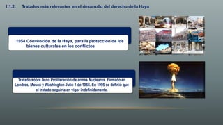 Derecho de LA HAYA | PPTX