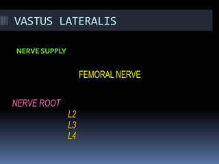 muscles of lower limb | PPTX