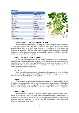 CULTIVO DE MANI | PDF
