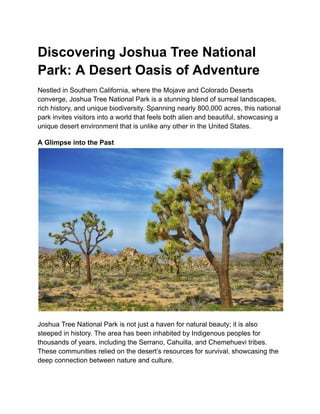 Discovering Joshua Tree National Park: A Desert Oasis of Adventure ...