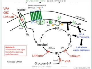 Mania & its treatment | PPTX