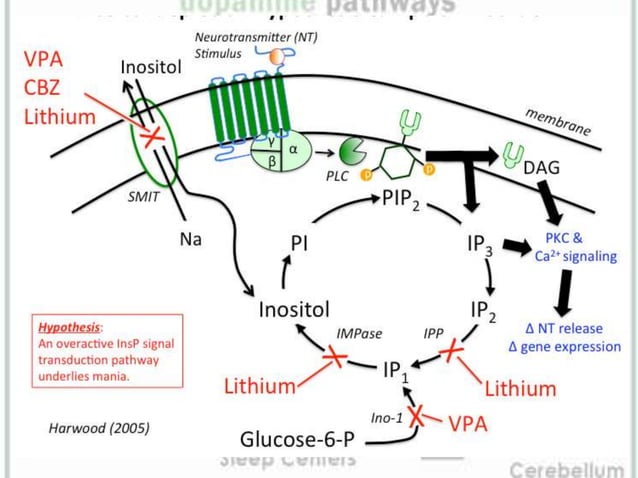 Mania & its treatment | PPTX | Chemistry | Science