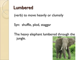 Maniac Magee Vocab 1 | PPT | Free Download