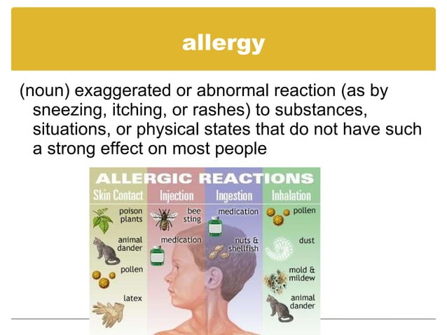 Maniac Magee Vocab 2 | PPT