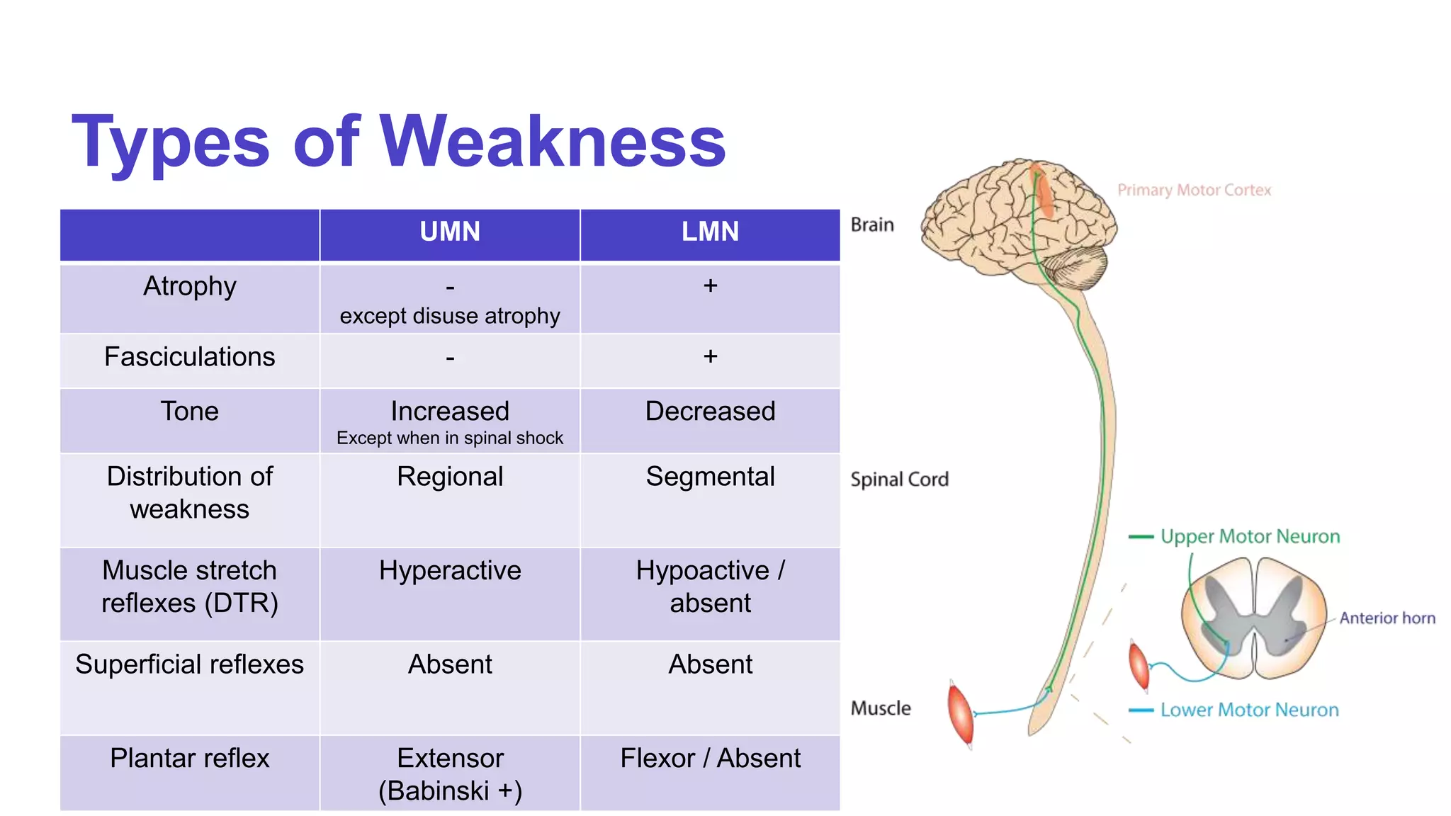 Manievelraaman's APPROACH TO NEUROLOGICAL WEAKNESS | PPTX