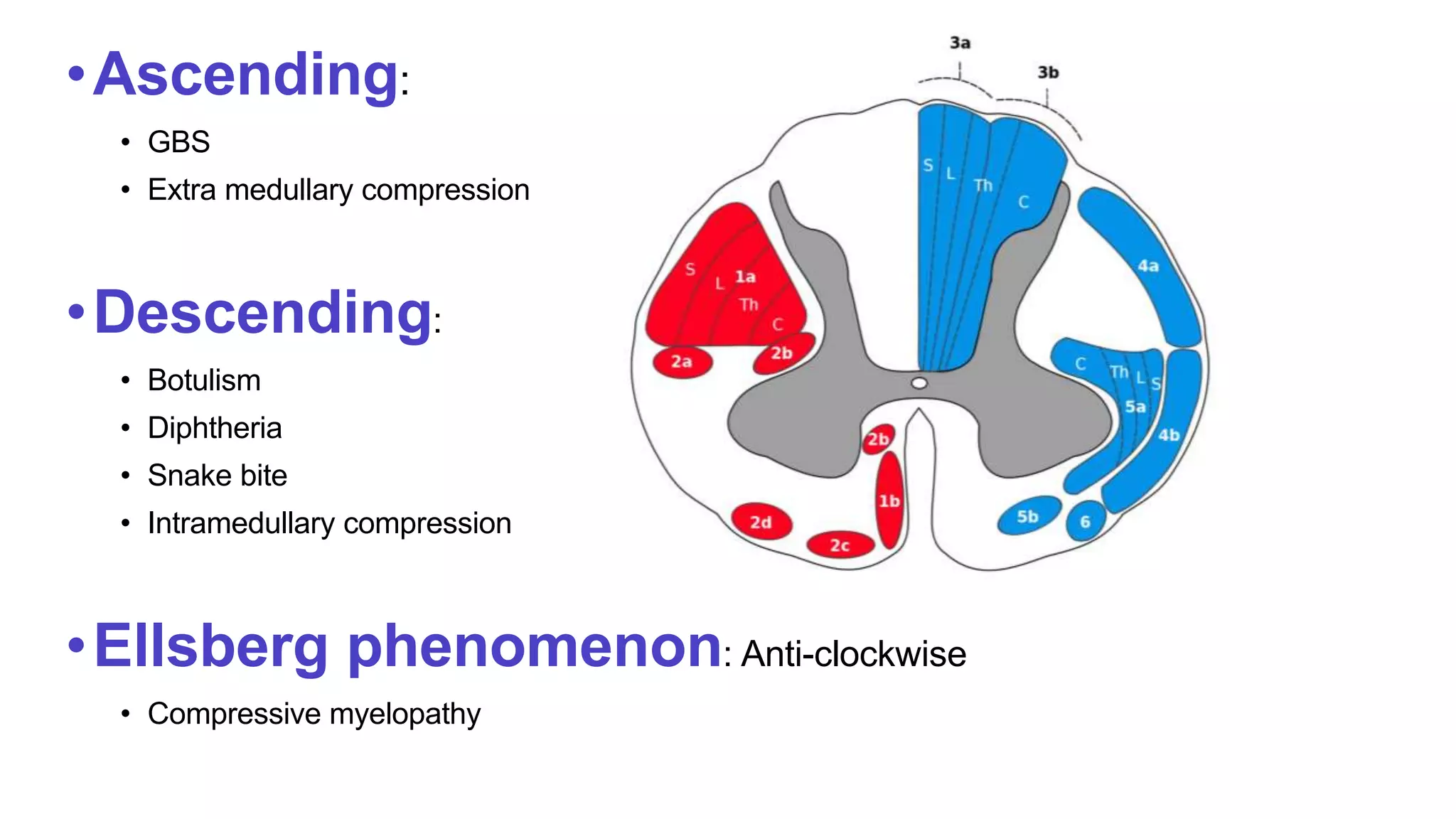 Manievelraaman's APPROACH TO NEUROLOGICAL WEAKNESS | PPTX