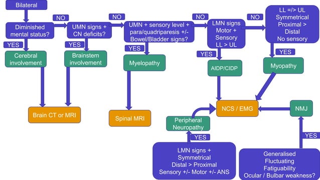 Manievelraaman's APPROACH TO NEUROLOGICAL WEAKNESS | PPTX | Physical ...