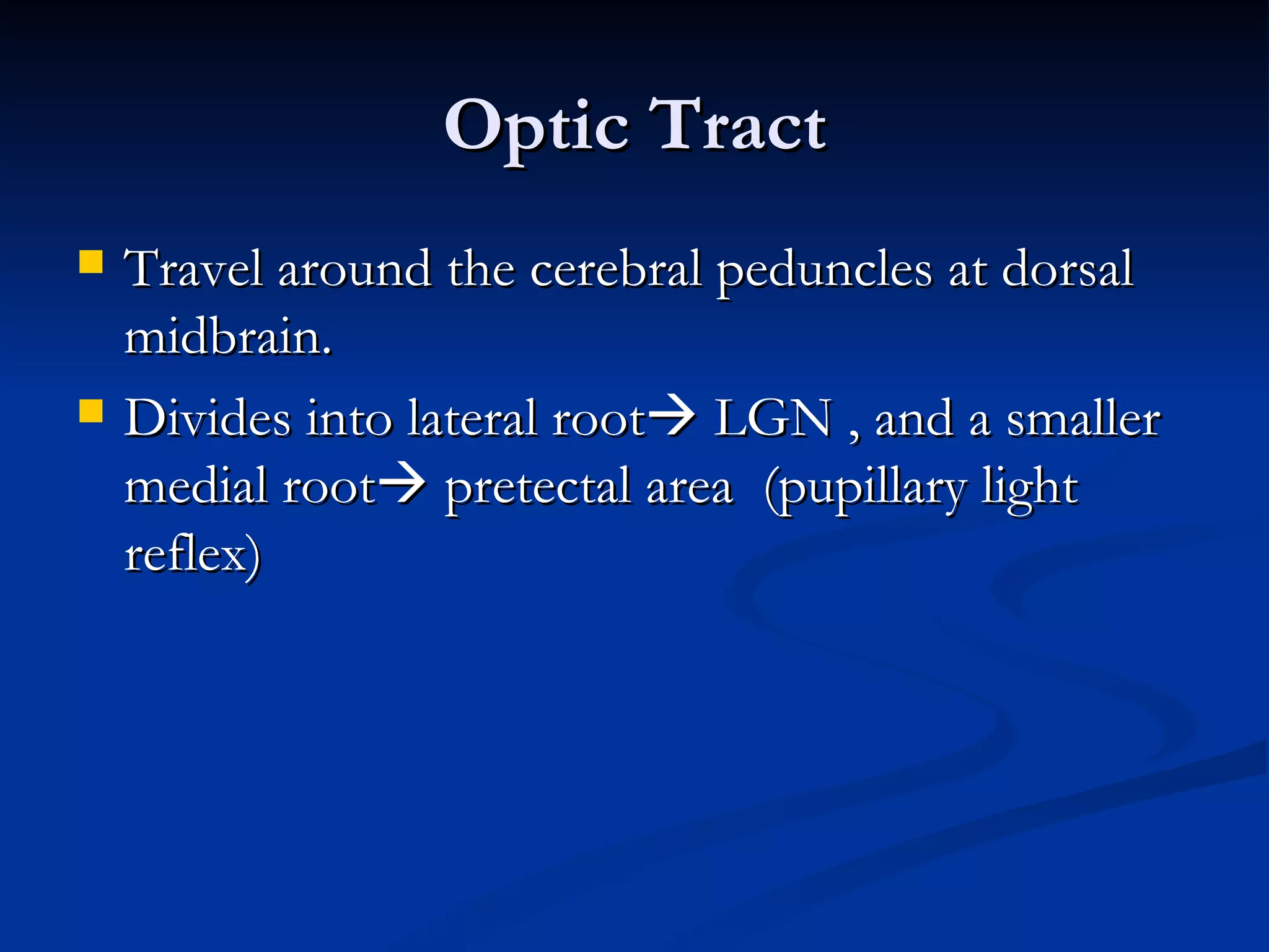 Anatomy and Lesions of Visual Pathways | PPT