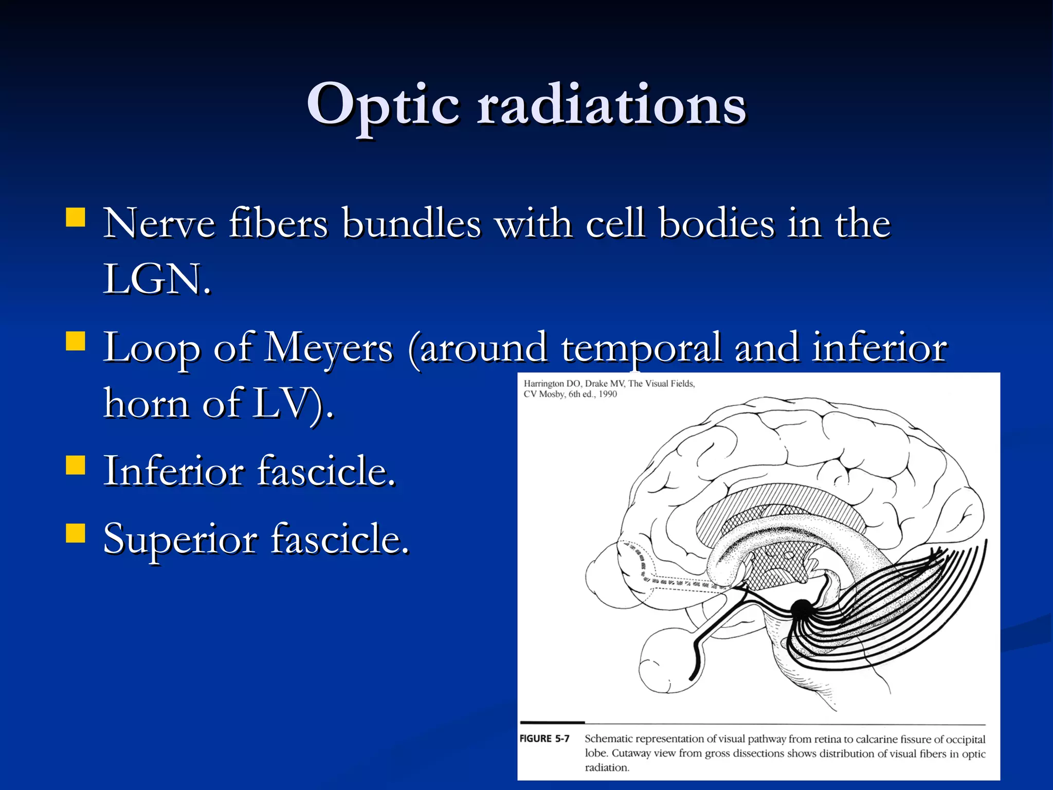 Anatomy and Lesions of Visual Pathways | PPT