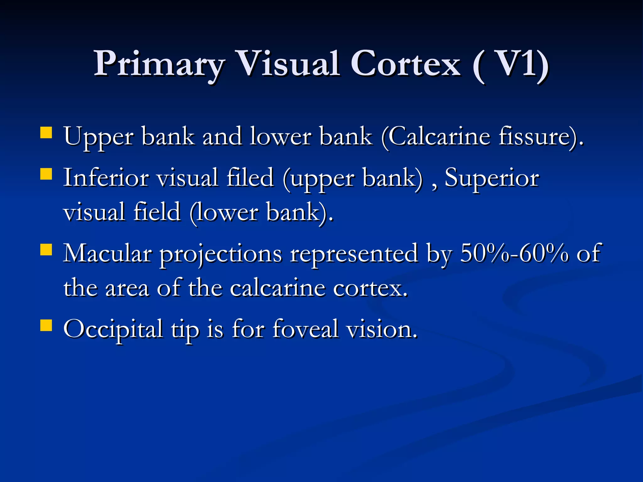 Anatomy and Lesions of Visual Pathways | PPT
